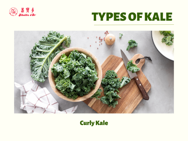 Kale Benefits and Everything You Need To Know | Abeille D'or