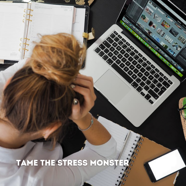 Tame the Stress Monster: Your Guide to Managing Stress - Abeille d'Or