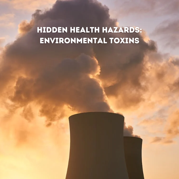 How Environmental Toxins Are Impacting Our Health: Identifying Hidden ...