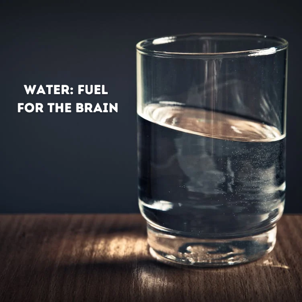 The Role of Hydration in Cognitive Function: How Water Affects ...